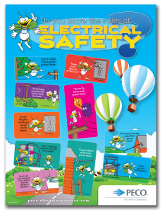 Original Order Page | PECO Electric Universe